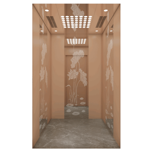 Custom Small Passenger Elevators